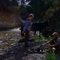 The Rustler | Western Series Wiki | Fandom