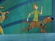 Gold Paw | What's New Scooby - Doo Wiki | Fandom