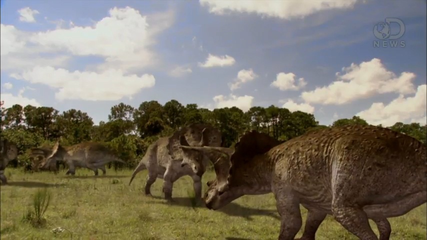 Triceratops When Dinosaur Roamed America Wiki Fandom Powered By Wikia
