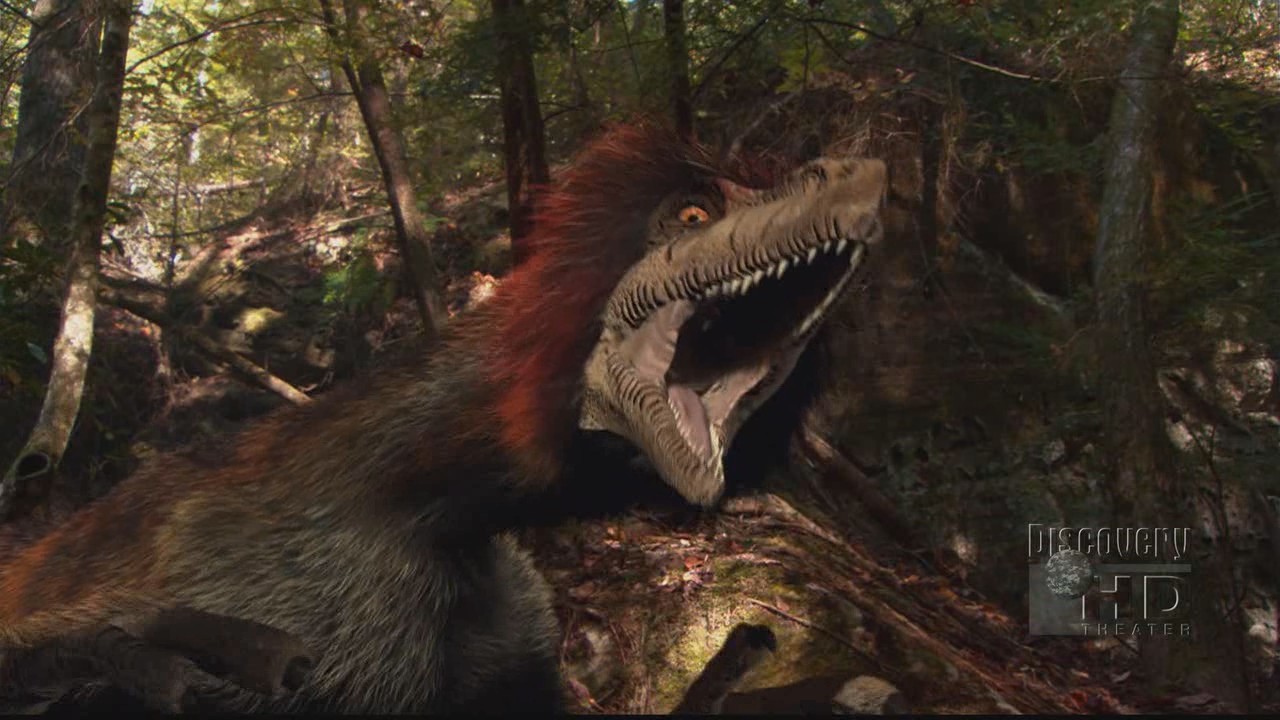 Dromaeosaur | When Dinosaur Roamed America Wiki | Fandom