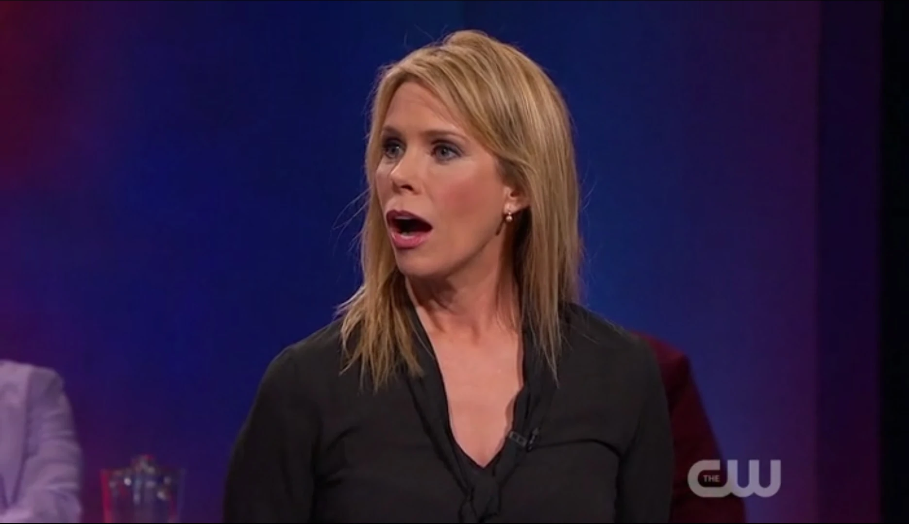 Cheryl Hines | Whose Line Is It Anyway Wiki | Fandom