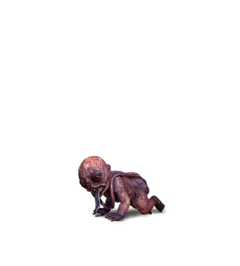 Poroniec | Wiedźmin Wiki | FANDOM powered by Wikia