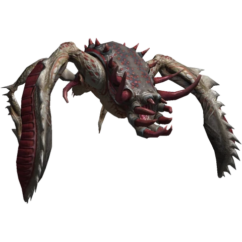 Kikimora wojownik | Wiedźmin Wiki | Fandom