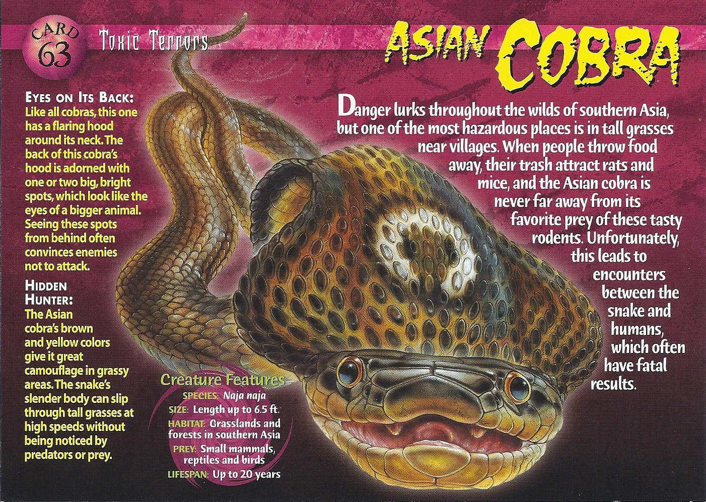 Asian Cobra | Weird n' Wild Creatures Wiki | FANDOM powered by Wikia