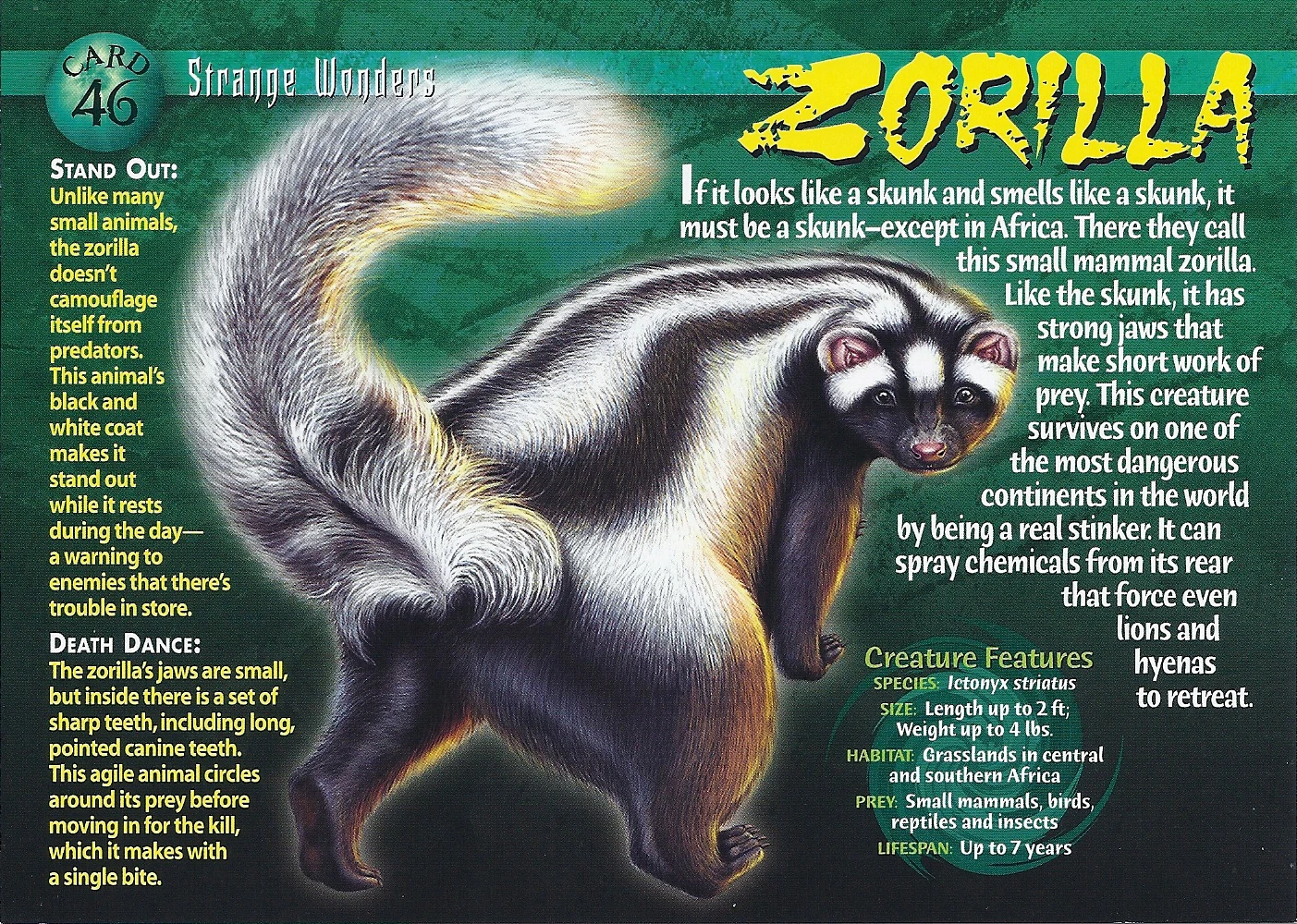Zorilla | Weird n' Wild Creatures Wiki | Fandom