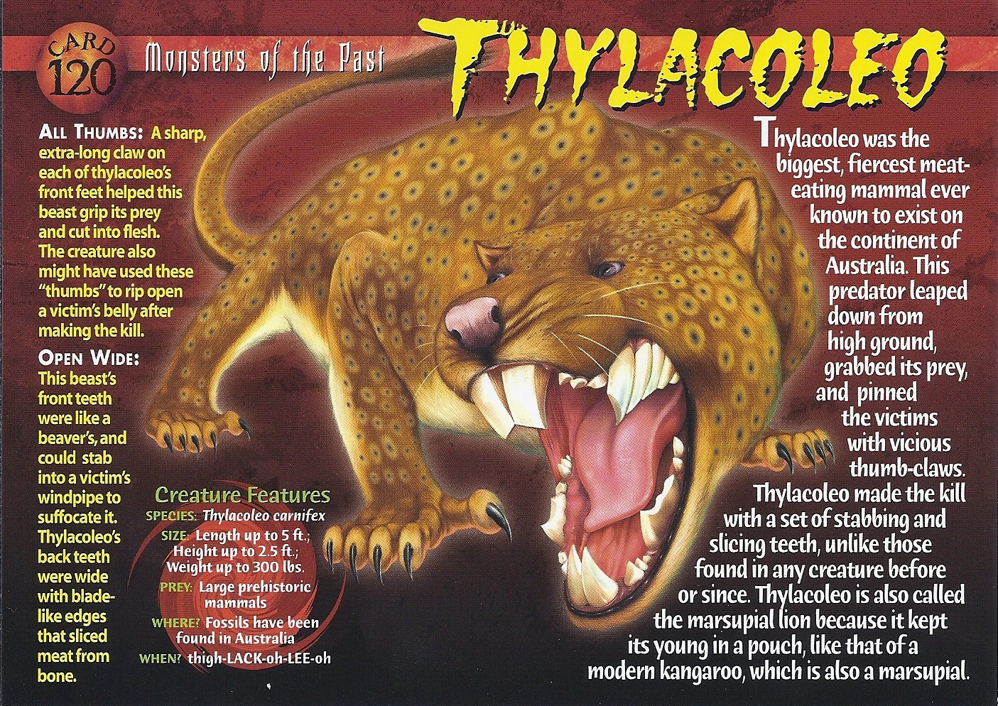 Thylacoleo | Weird n' Wild Creatures Wiki | Fandom
