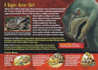 Colossochelys | Wierd N'wild Creatures Wiki | FANDOM powered by Wikia