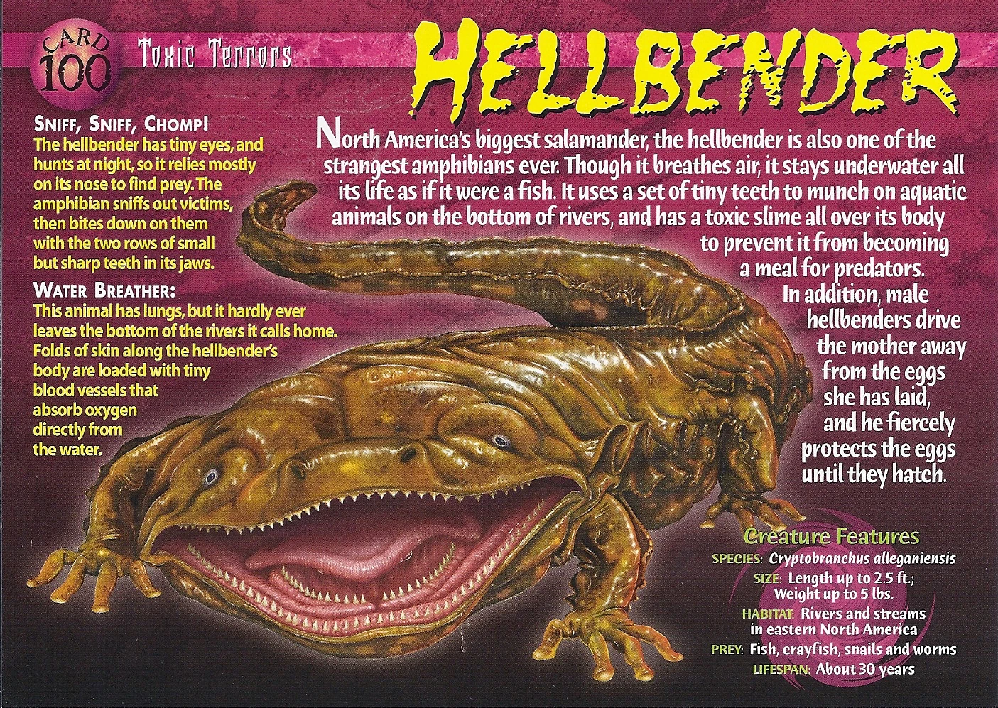 Hellbender | Weird n' Wild Creatures Wiki | Fandom