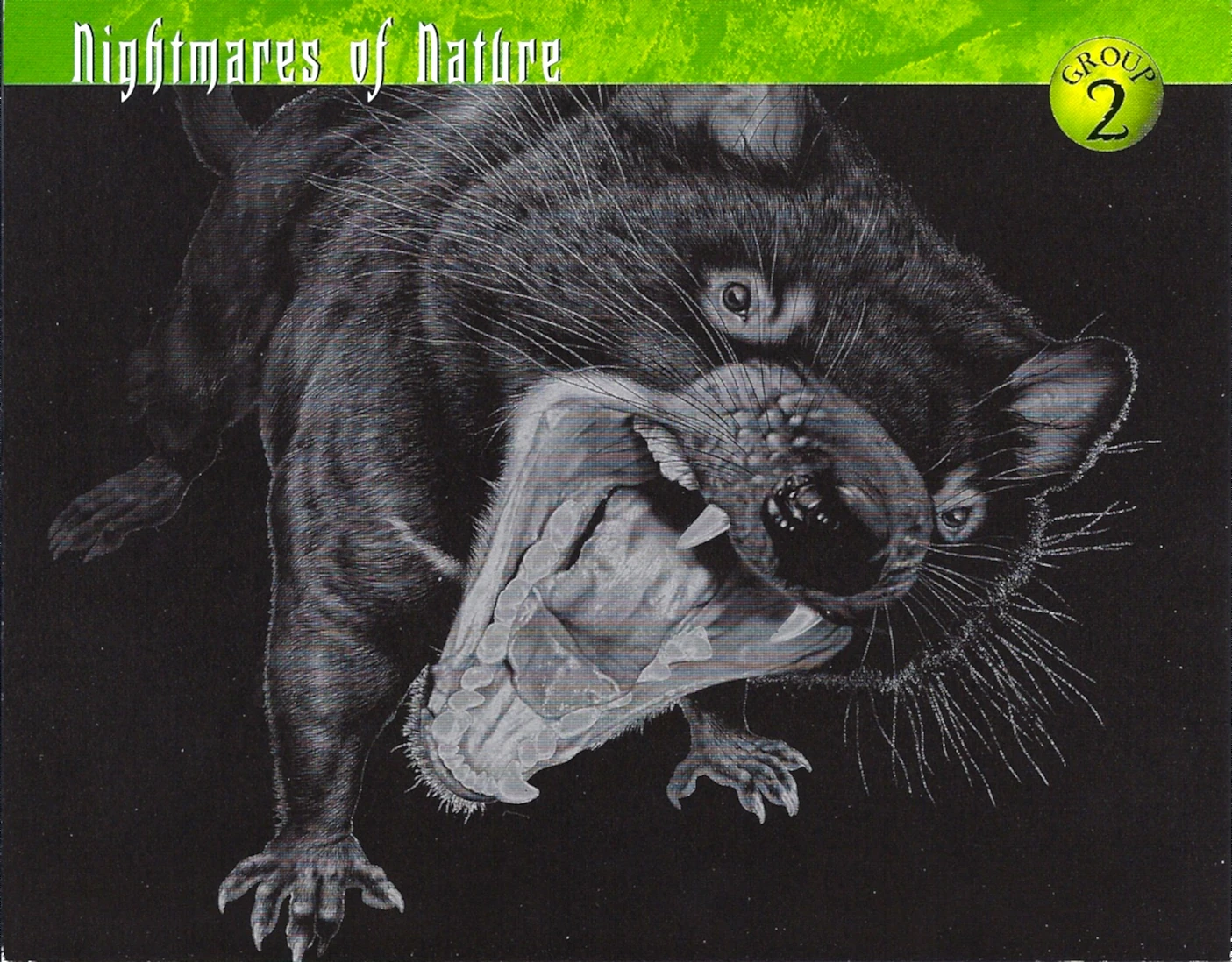 Nightmares of Nature | Weird n' Wild Creatures Wiki | FANDOM powered by ...