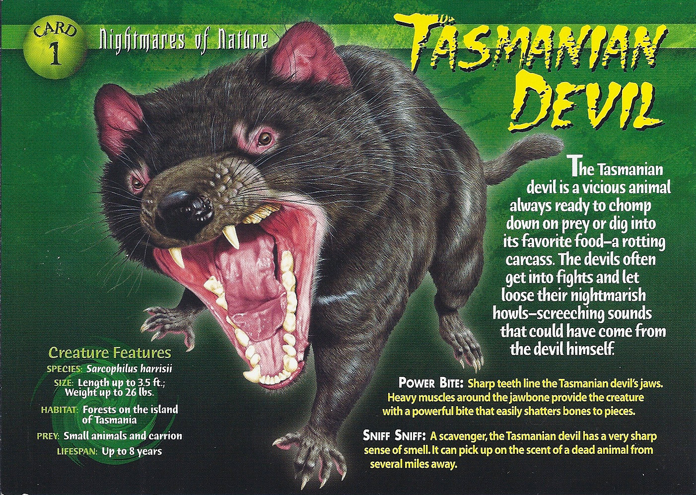 Tasmanian Devil | Wierd N'wild Creatures Wiki | FANDOM powered by Wikia