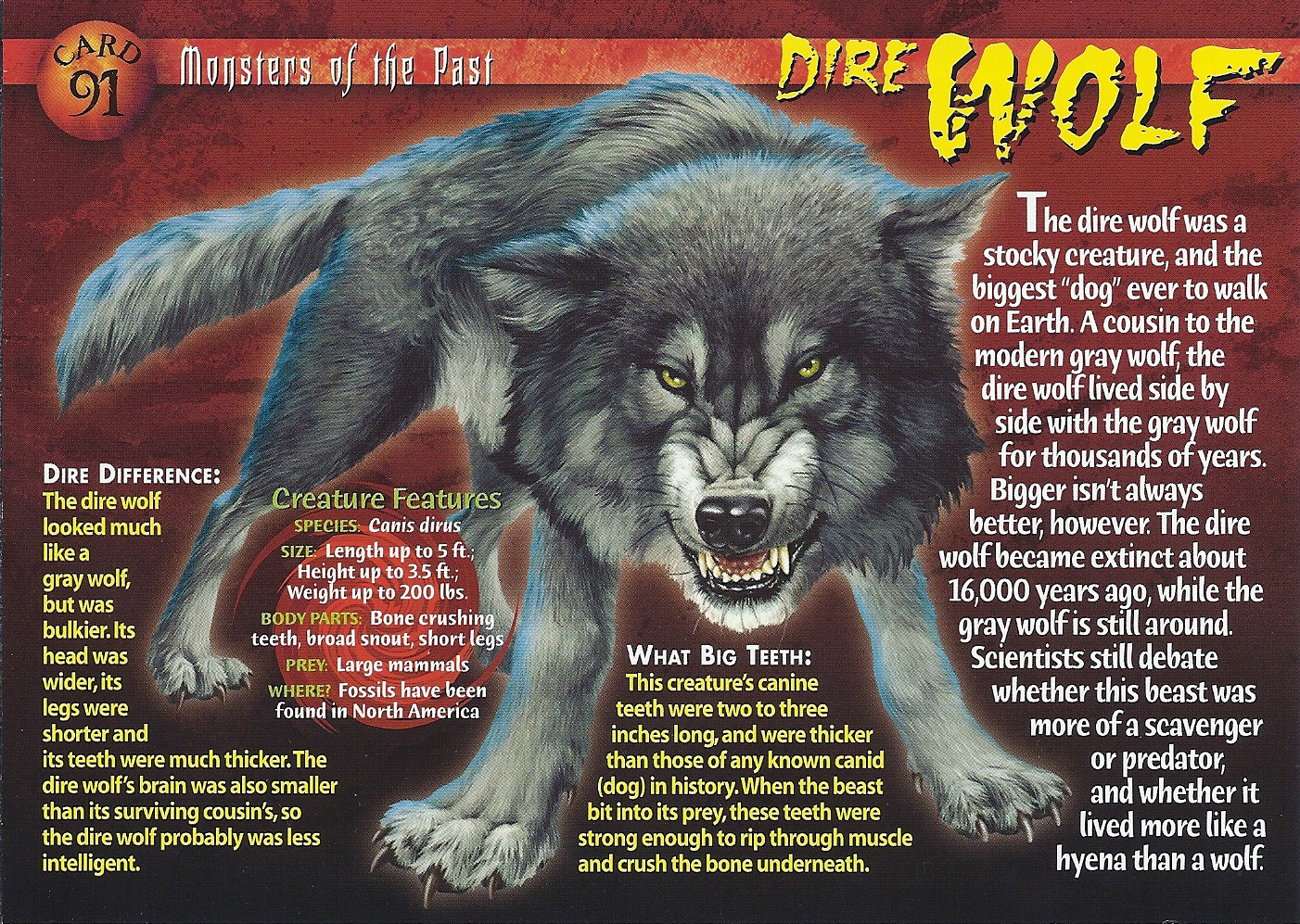 Dire Wolf | Weird n' Wild Creatures Wiki | FANDOM powered by Wikia