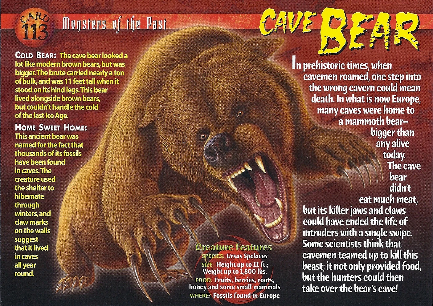 Cave Bear | Weird n' Wild Creatures Wiki | Fandom