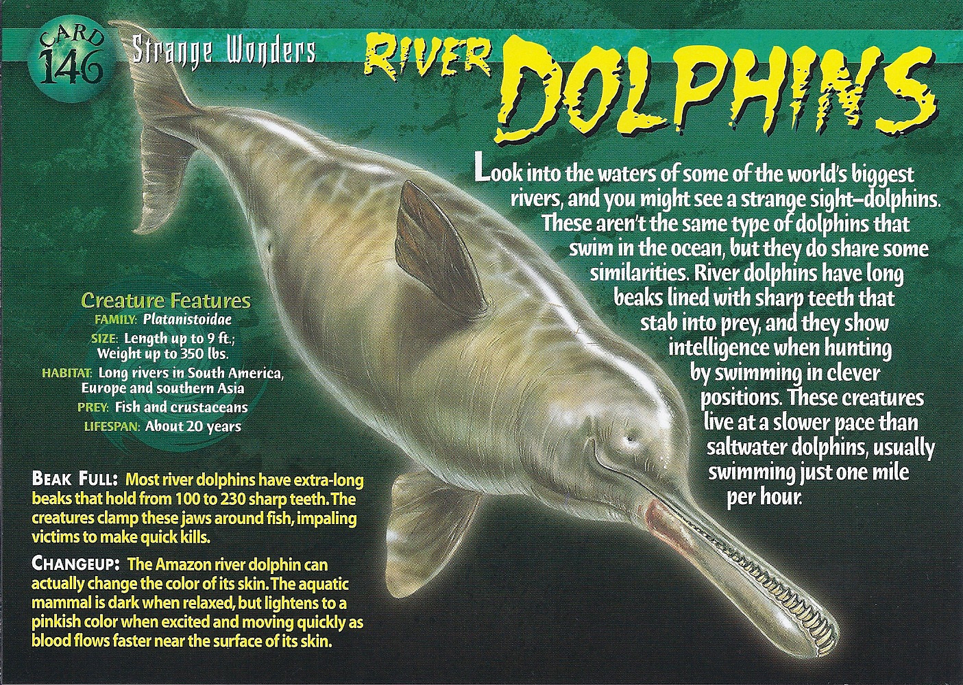 River Dolphins | Weird n' Wild Creatures Wiki | FANDOM powered by Wikia River Dolphins | Weird n' Wild Creatures Wiki | FANDOM powered by Wikia