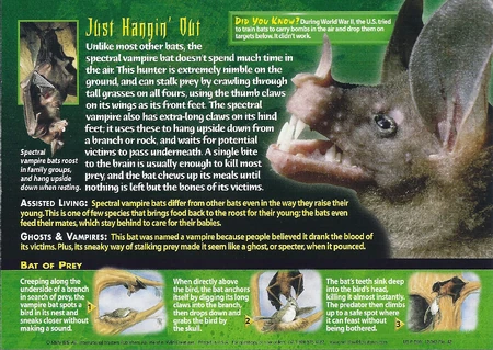 Spectral Vampire Bat | Weird n' Wild Creatures Wiki | Fandom