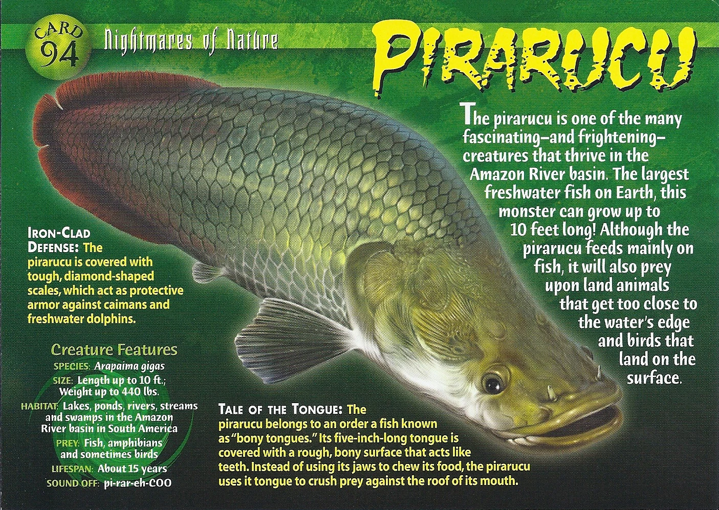 Pirarucu | Weird n' Wild Creatures Wiki | Fandom