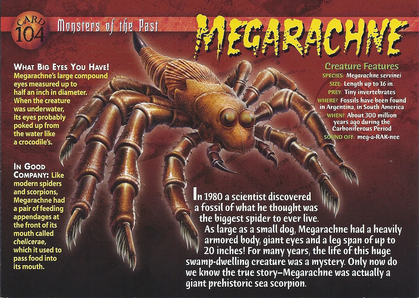 Megarachne | Weird n' Wild Creatures Wiki | Fandom