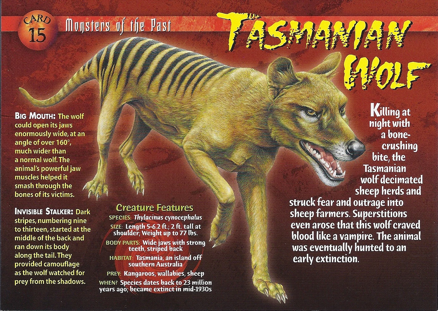 Tasmanian Wolf | Weird n' Wild Creatures Wiki | FANDOM powered by Wikia