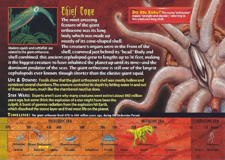 Giant Orthocone | Wierd N'wild Creatures Wiki | FANDOM powered by Wikia