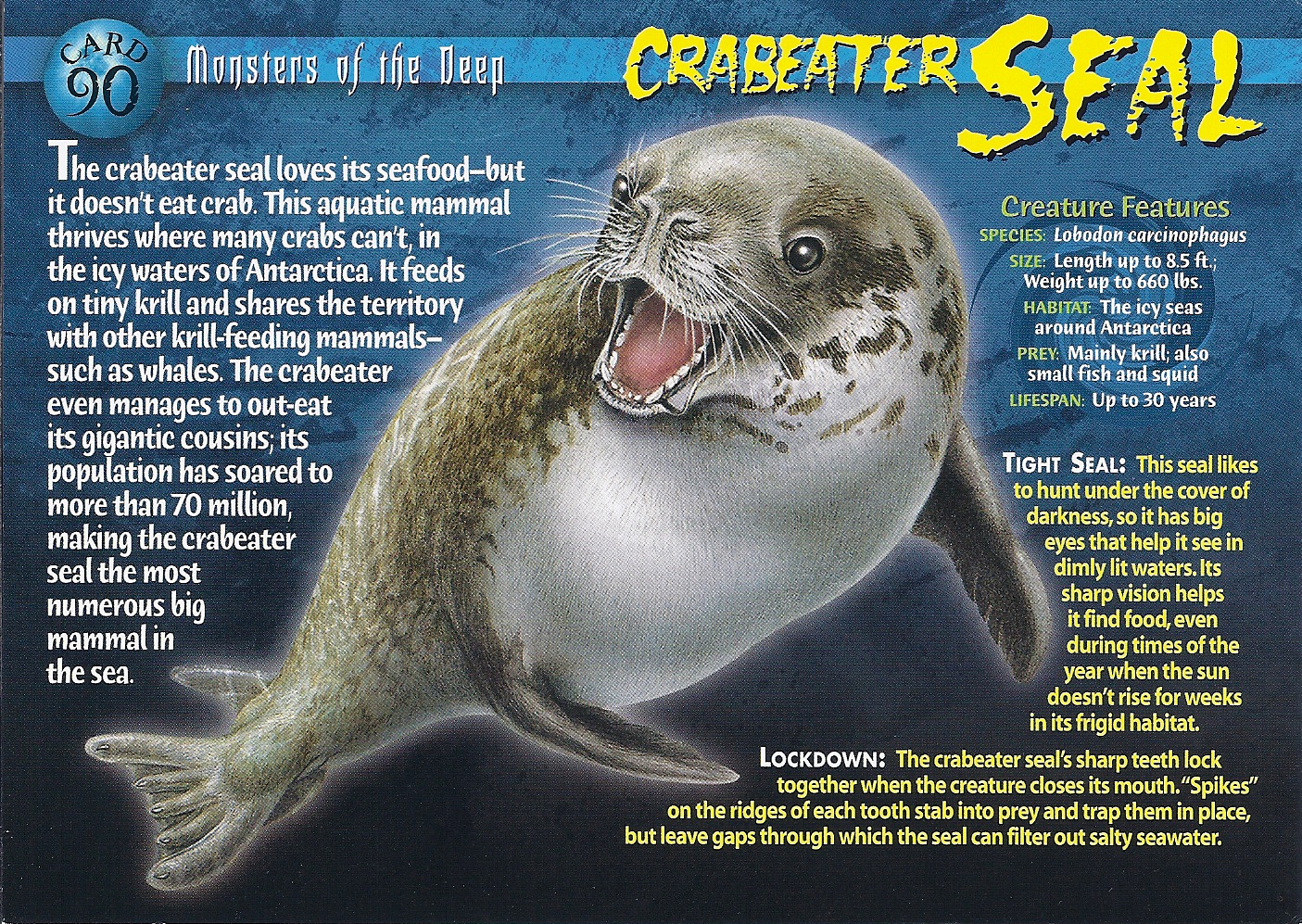 Crabeater Seal | Weird n' Wild Creatures Wiki | Fandom Crabeater Seal | Weird n' Wild Creatures Wiki | Fandom