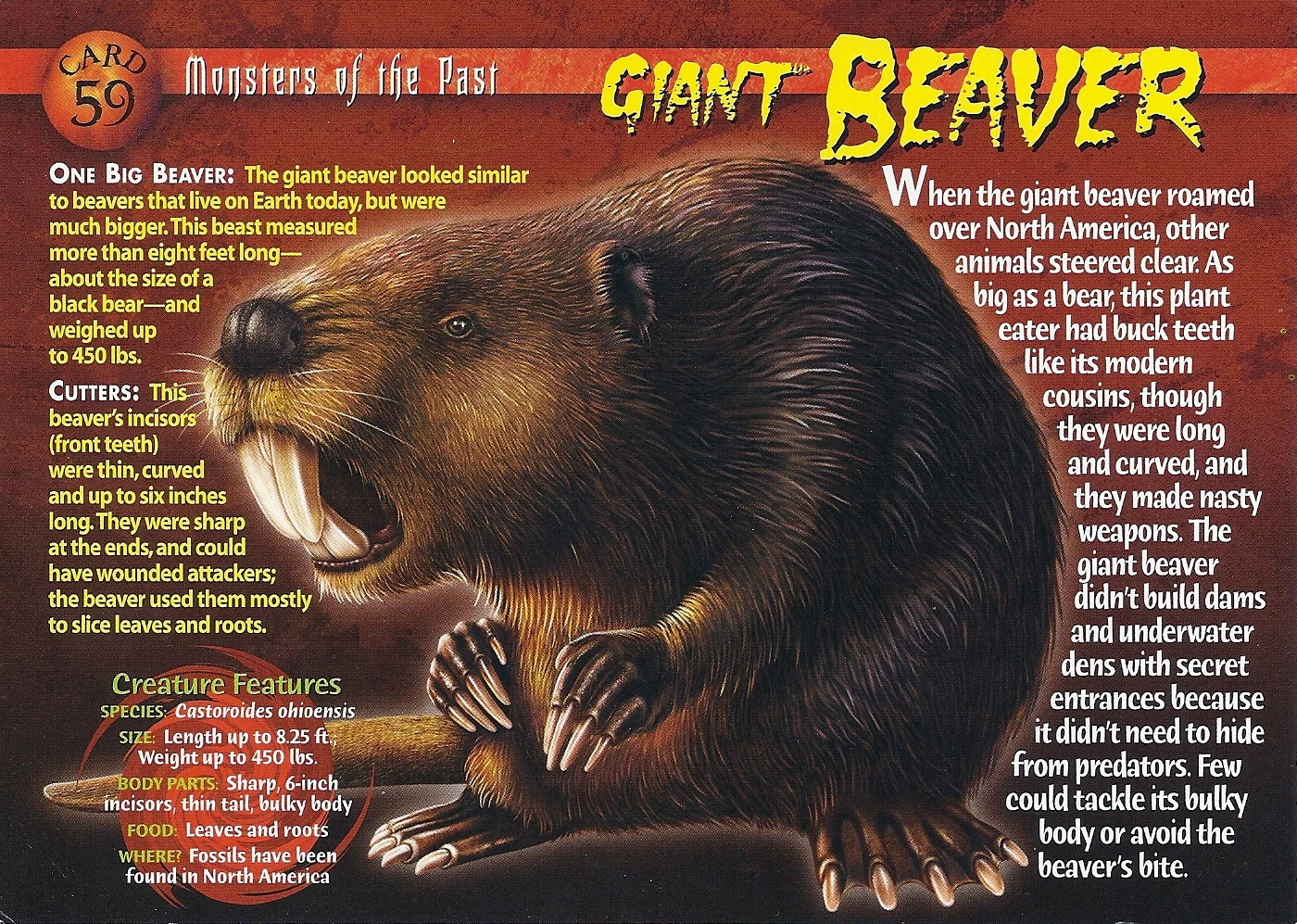 Giant Beaver | Weird n' Wild Creatures Wiki | Fandom