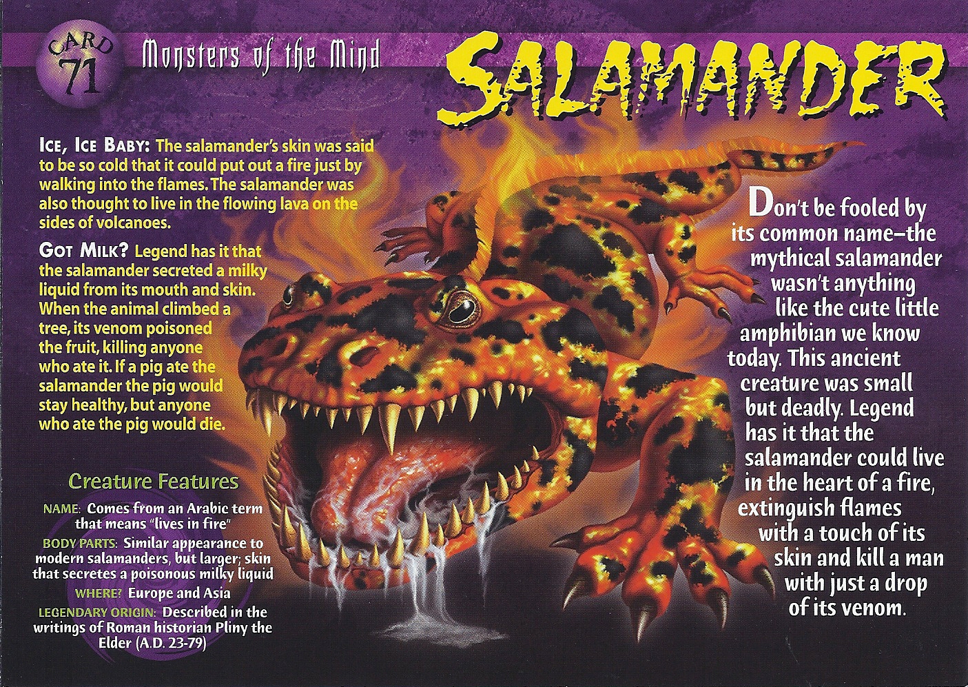 Salamander | Weird n' Wild Creatures Wiki | Fandom Salamander | Weird n' Wild Creatures Wiki | Fandom