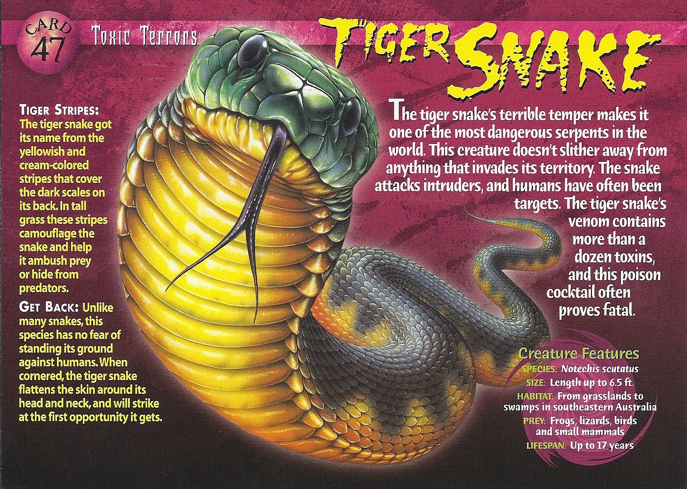 Tiger Snake | Weird n' Wild Creatures Wiki | Fandom