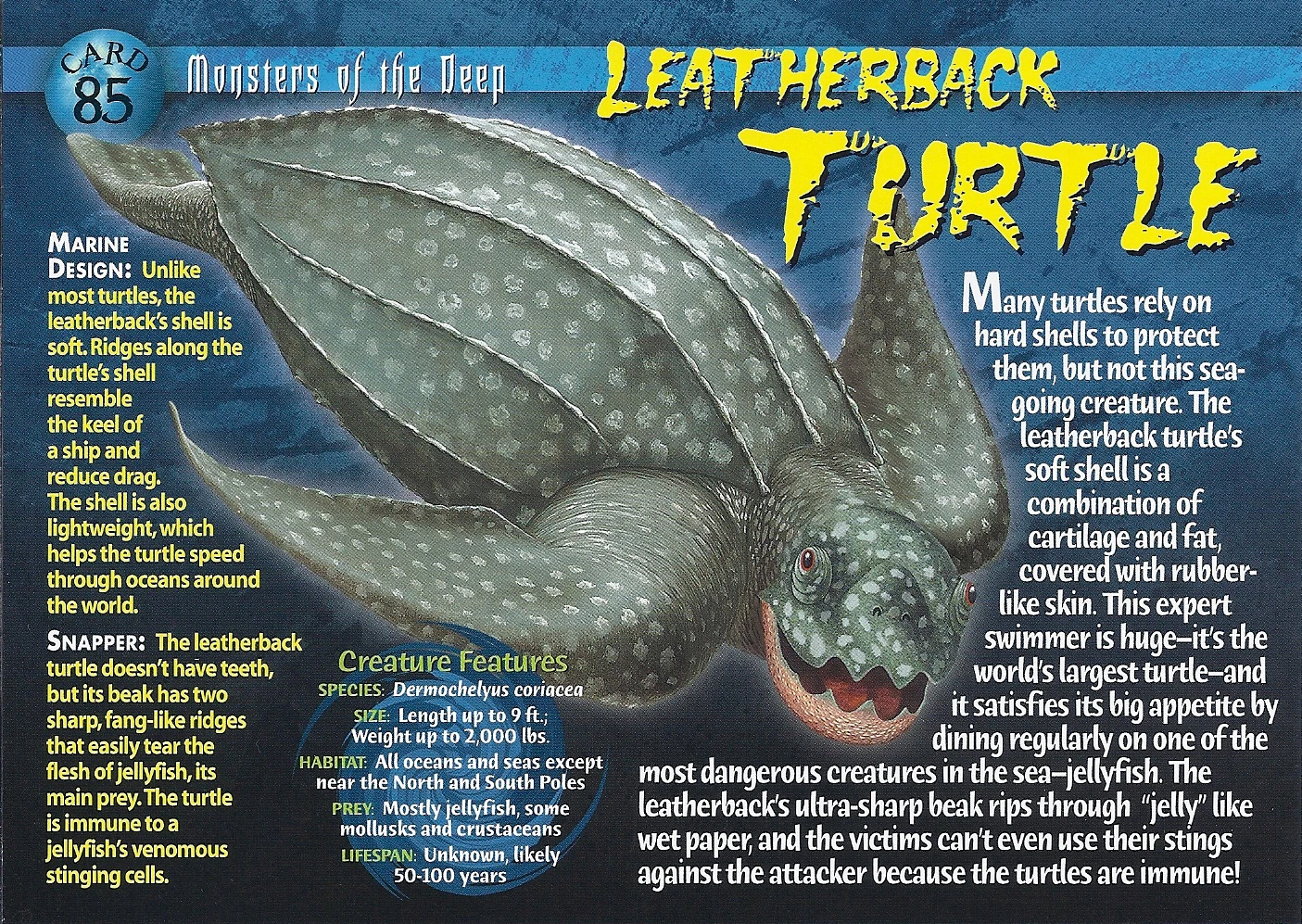 Leatherback Turtle | Weird n' Wild Creatures Wiki | Fandom