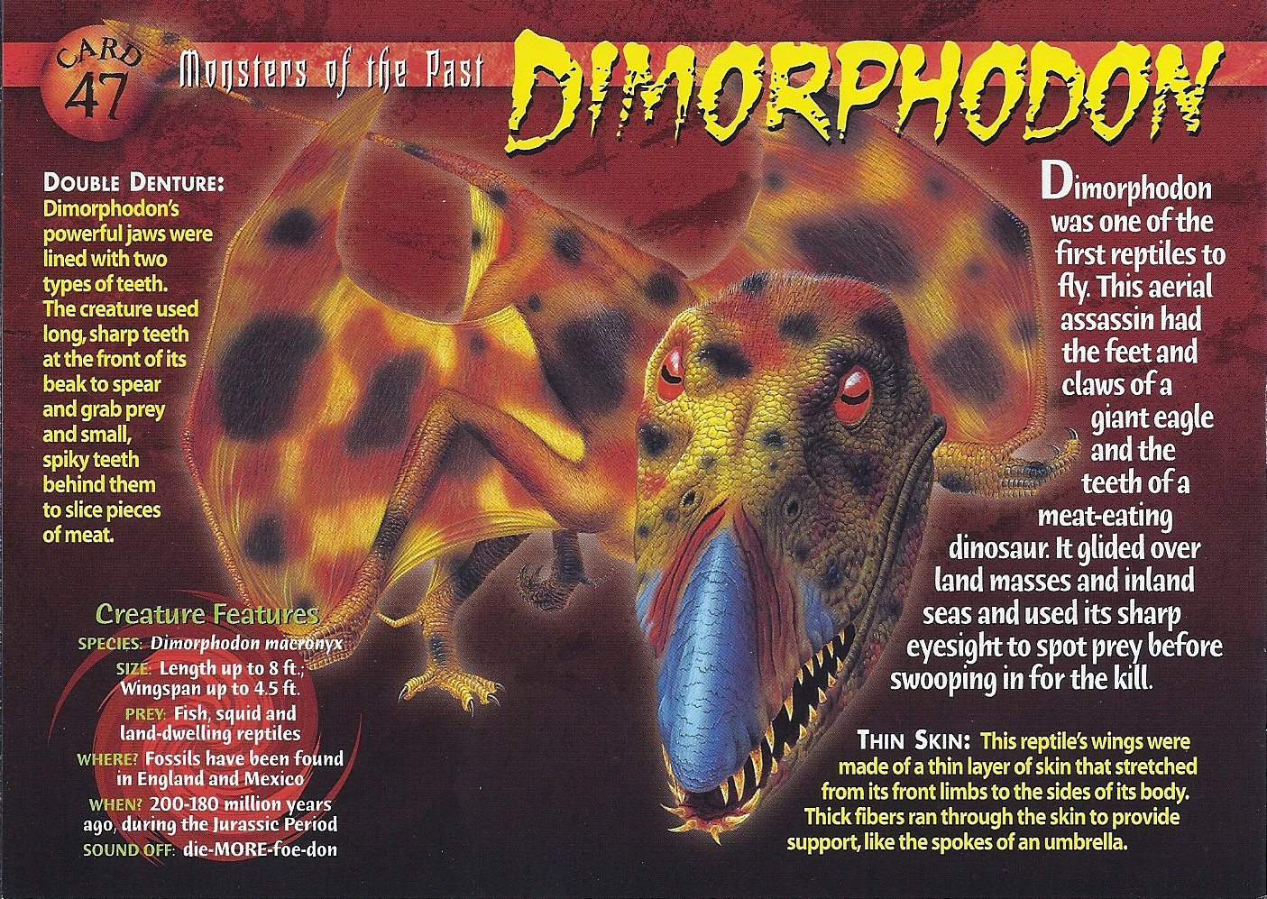 Dimorphodon | Weird n' Wild Creatures Wiki | Fandom