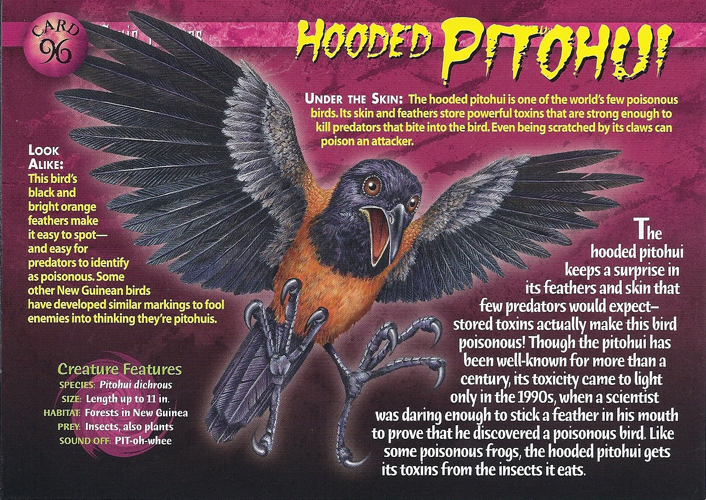 Hooded Pitohui | Weird n' Wild Creatures Wiki | Fandom