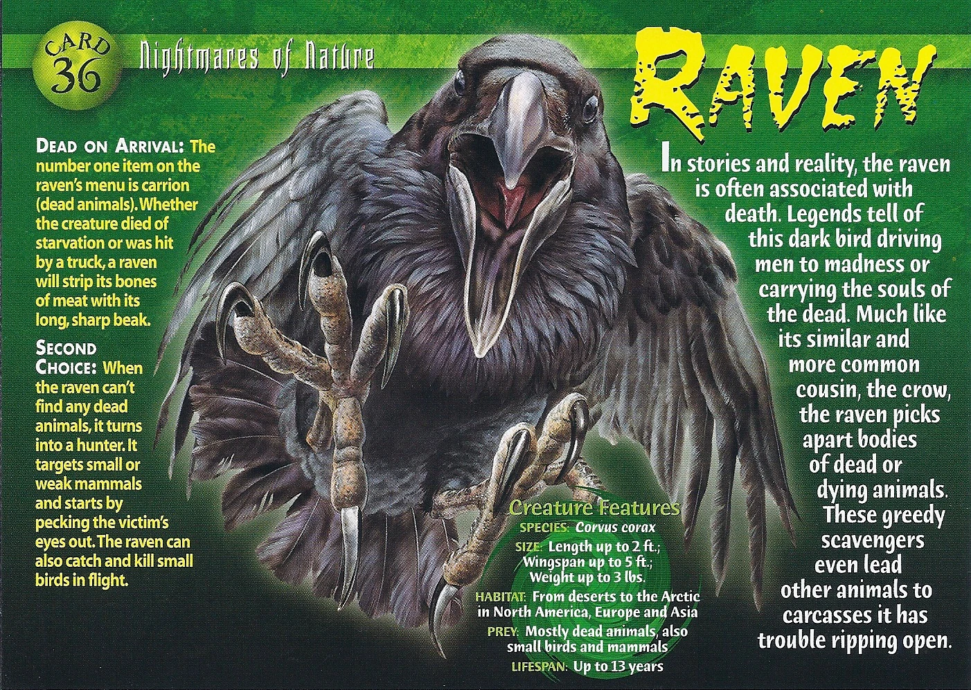 Raven | Weird n' Wild Creatures Wiki | FANDOM powered by Wikia