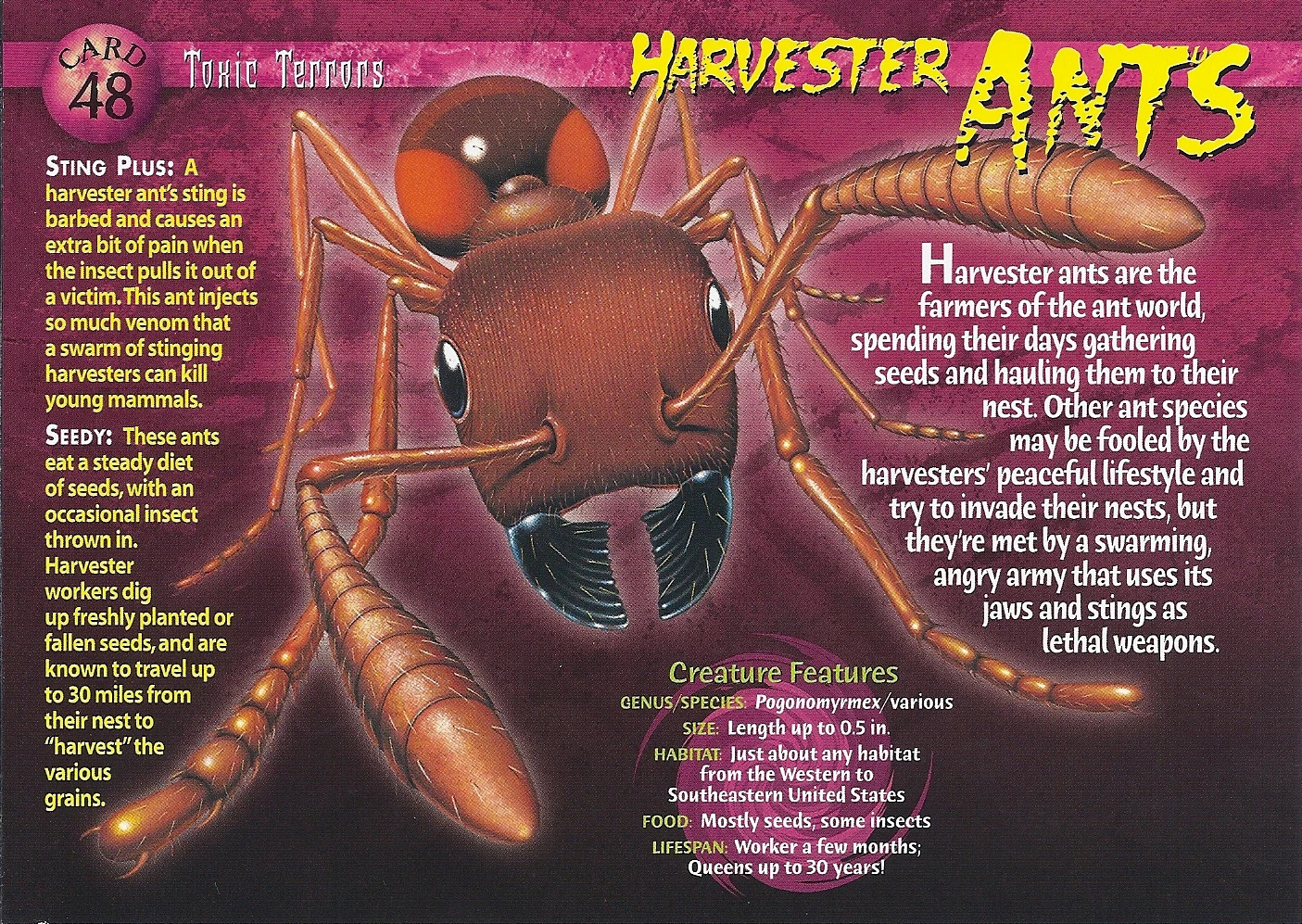 Harvester Ants | Weird n' Wild Creatures Wiki | Fandom