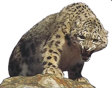 Mngwa | Weird n' Wild Creatures Wiki | Fandom