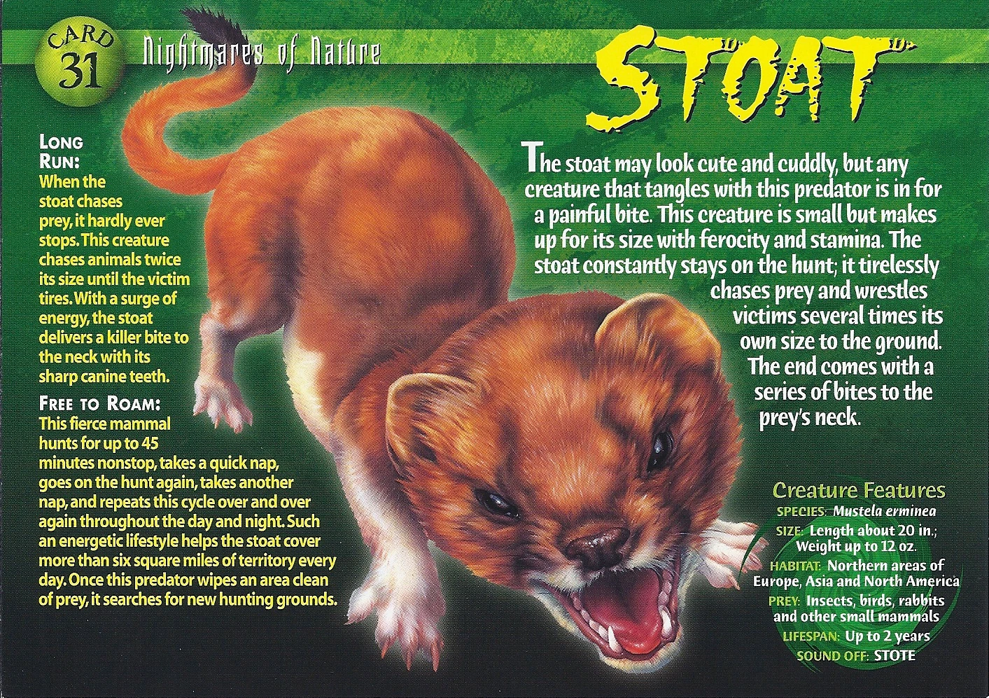 Stoat | Weird n' Wild Creatures Wiki | FANDOM powered by Wikia