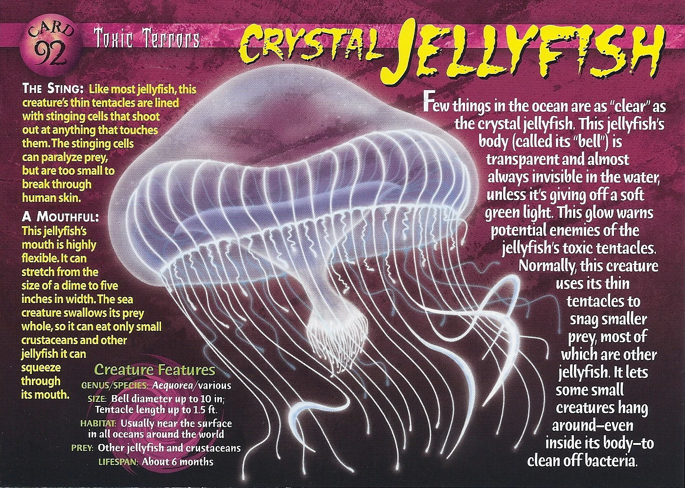 Crystal Jellyfish | Weird n' Wild Creatures Wiki | Fandom