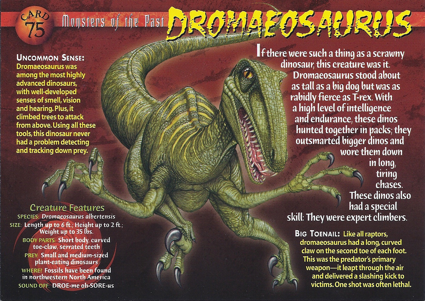 Dromaeosaurus | Weird n' Wild Creatures Wiki | Fandom Dromaeosaurus | Weird n' Wild Creatures Wiki | Fandom