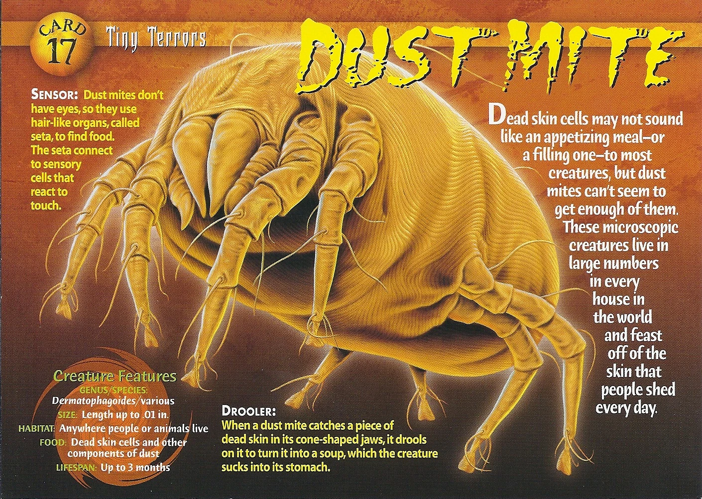 Dust Mite | Weird n' Wild Creatures Wiki | Fandom