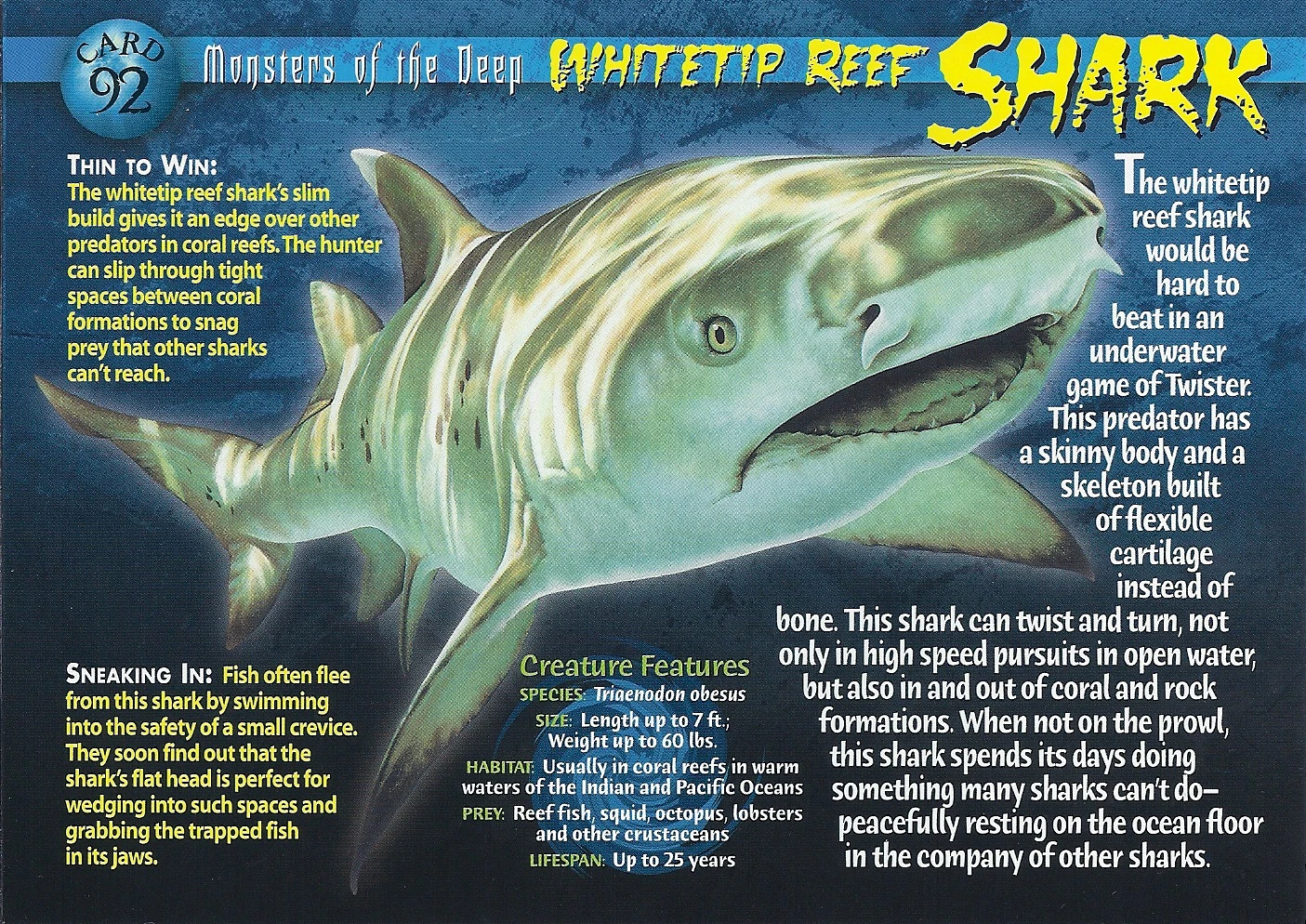 Whitetip Reef Shark | Weird n' Wild Creatures Wiki | Fandom