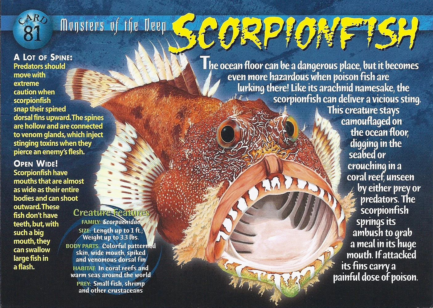 Scorpionfish | Weird n' Wild Creatures Wiki | Fandom