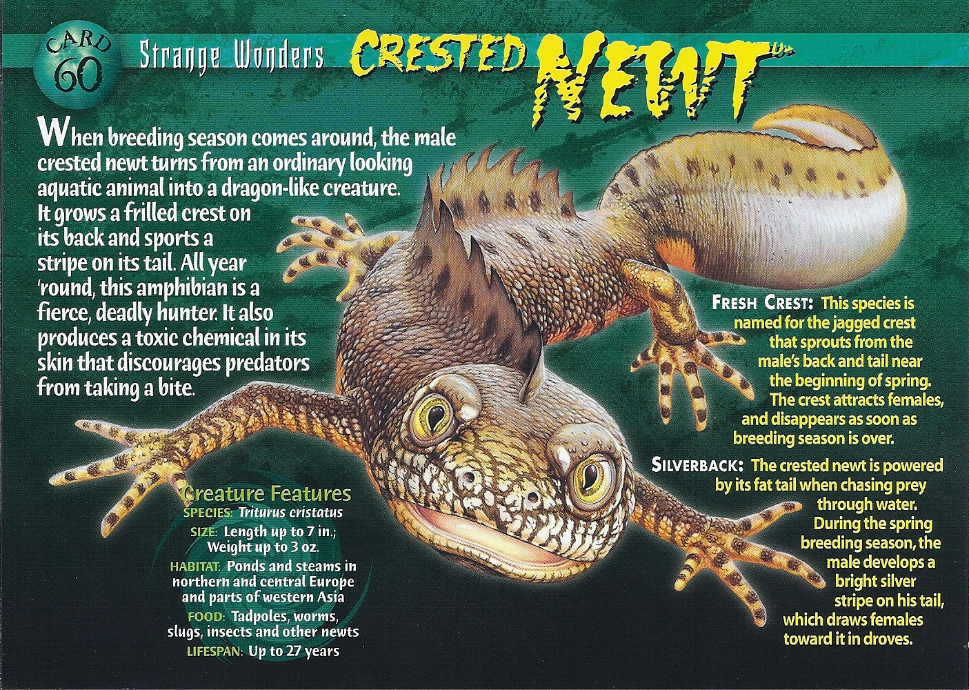 Crested Newt | Weird n' Wild Creatures Wiki | FANDOM powered by Wikia