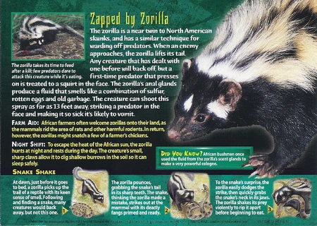 Zorilla | Weird n' Wild Creatures Wiki | Fandom