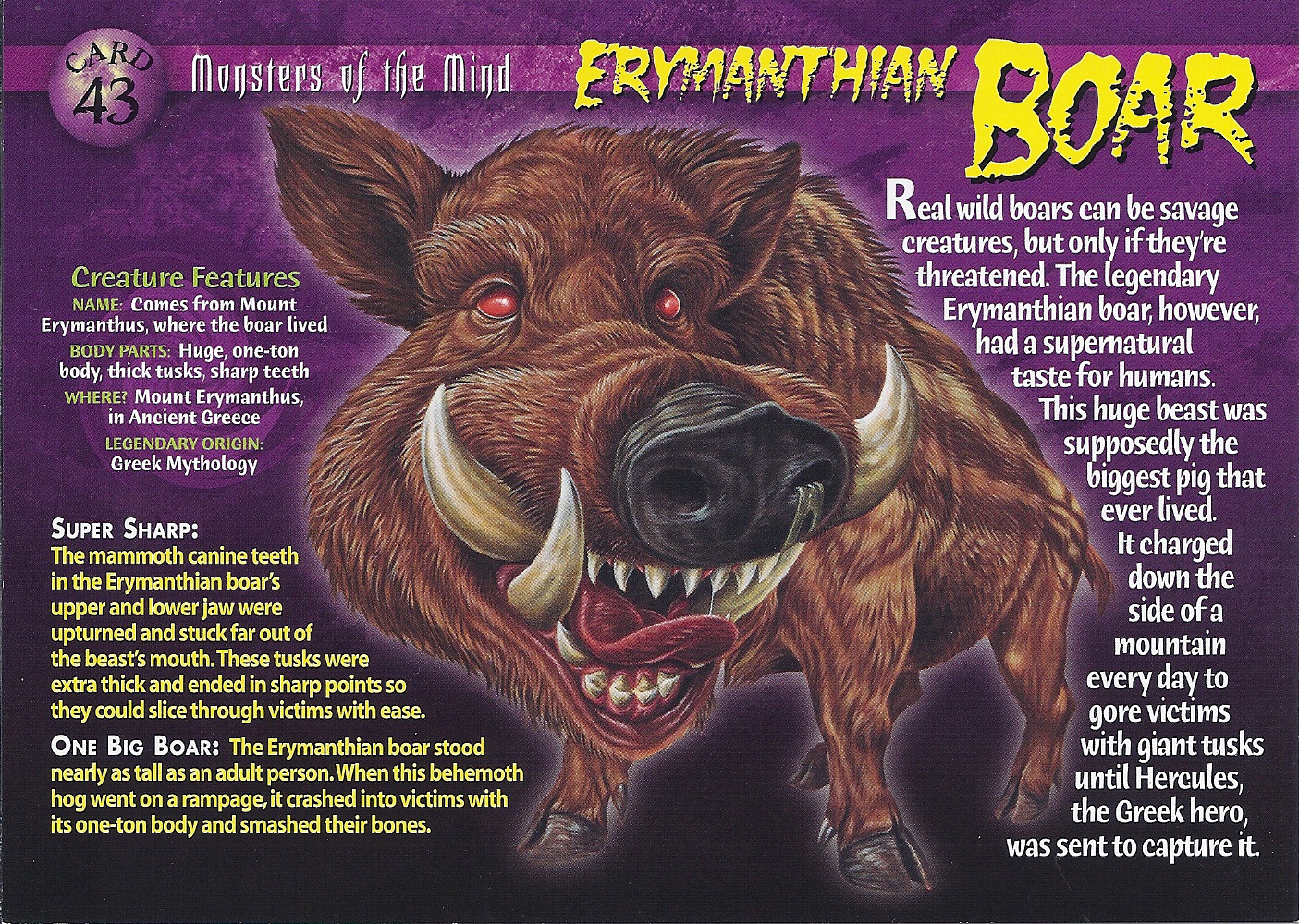 Erymanthian Boar | Weird n' Wild Creatures Wiki | Fandom