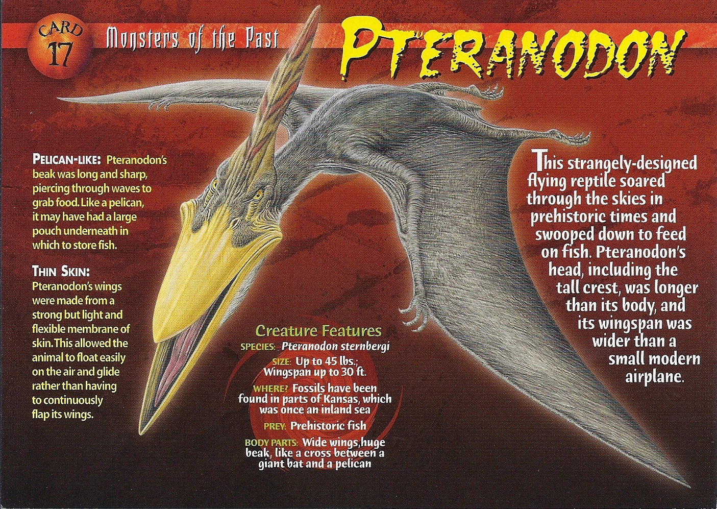 Pteranodon | Weird n' Wild Creatures Wiki | FANDOM powered by Wikia