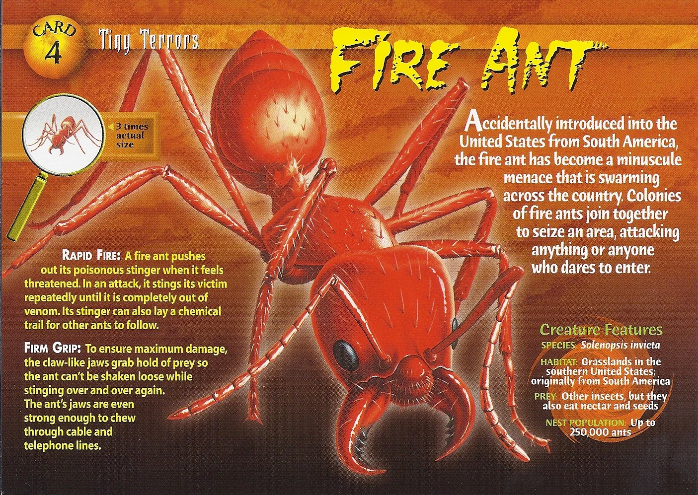 Fire Ant | Weird n' Wild Creatures Wiki | FANDOM powered by Wikia