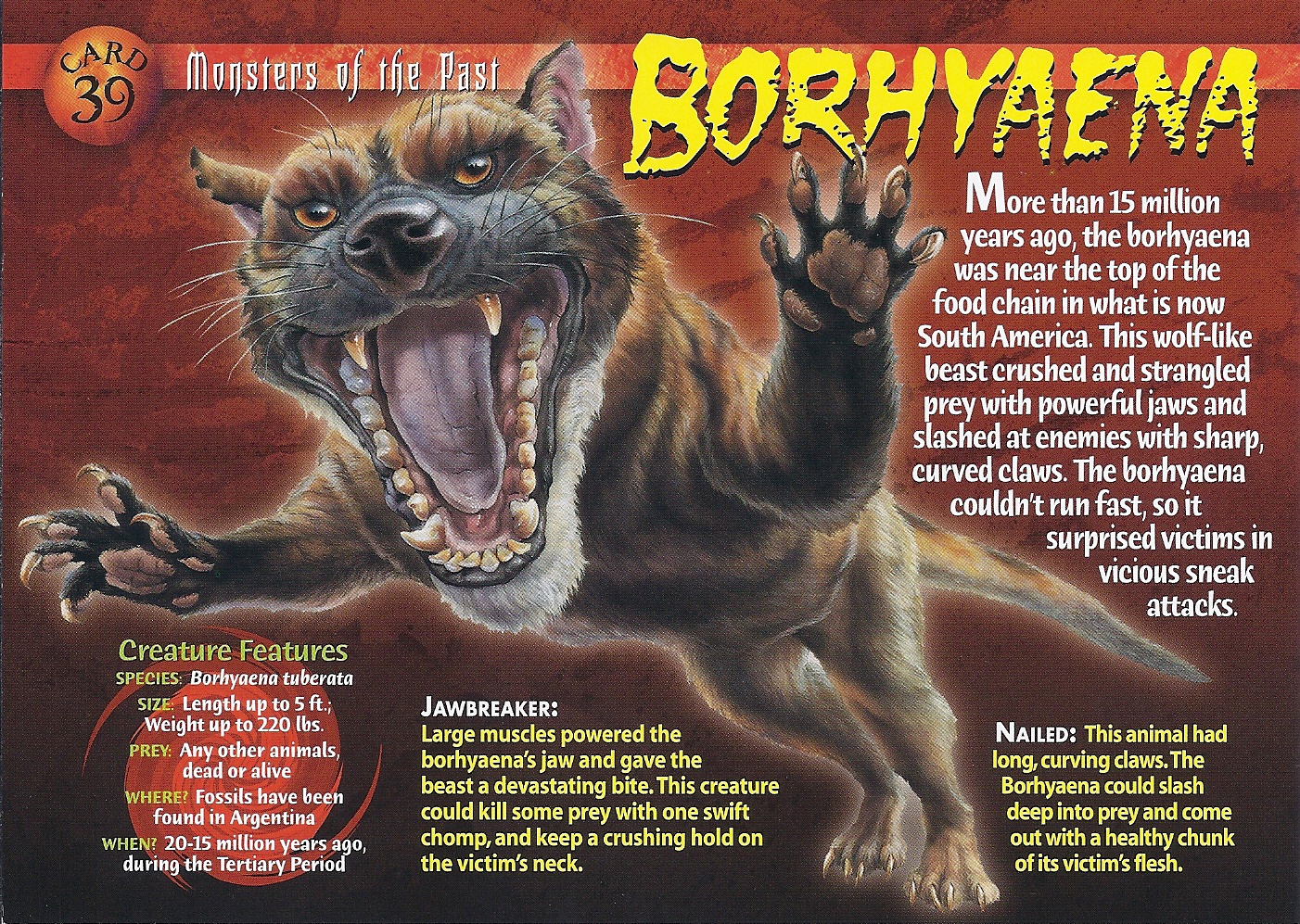Borhyaena | Weird n' Wild Creatures Wiki | Fandom Borhyaena | Weird n' Wild Creatures Wiki | Fandom