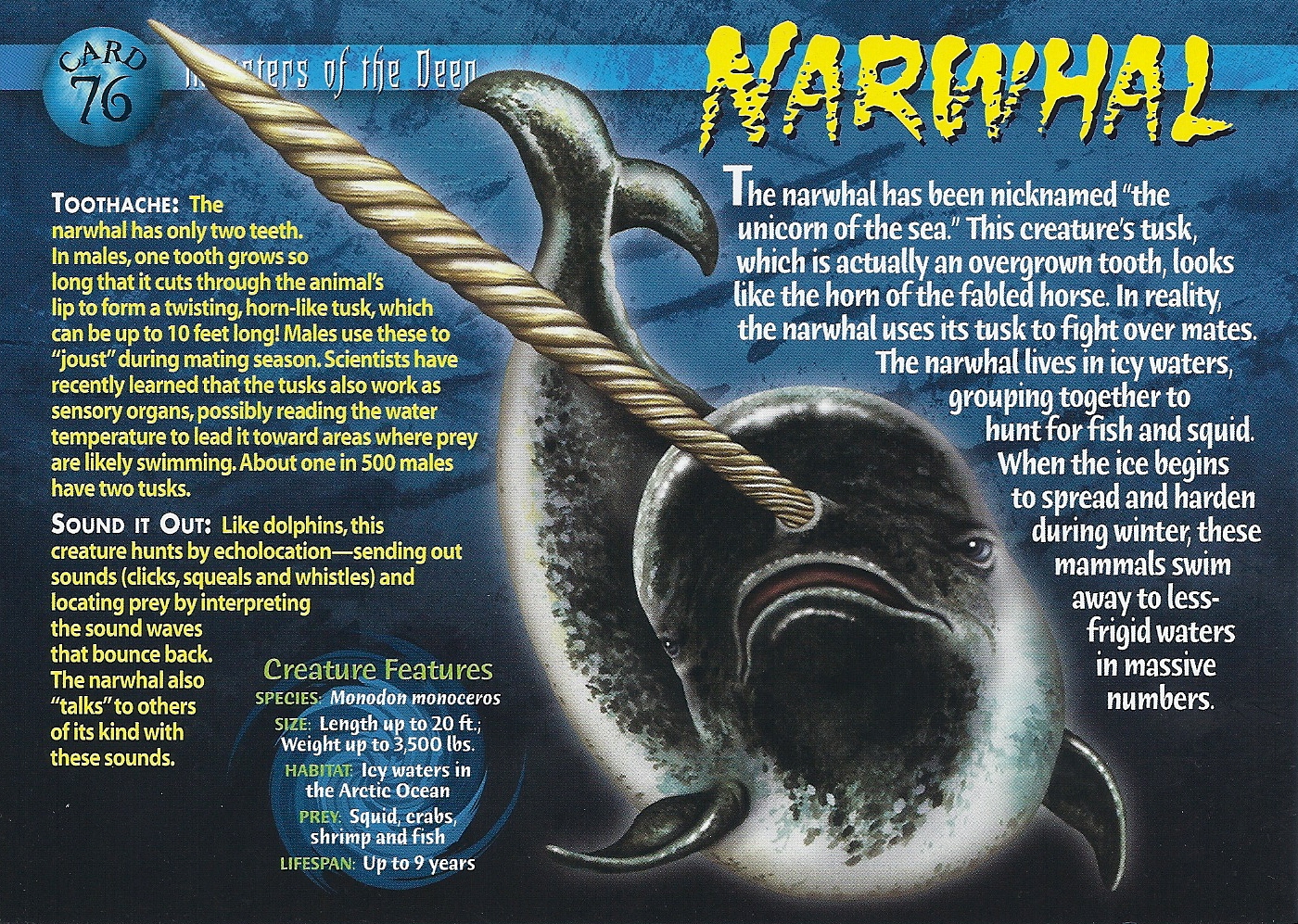 Narwhal | Weird n' Wild Creatures Wiki | FANDOM powered by Wikia Narwhal | Weird n' Wild Creatures Wiki | FANDOM powered by Wikia