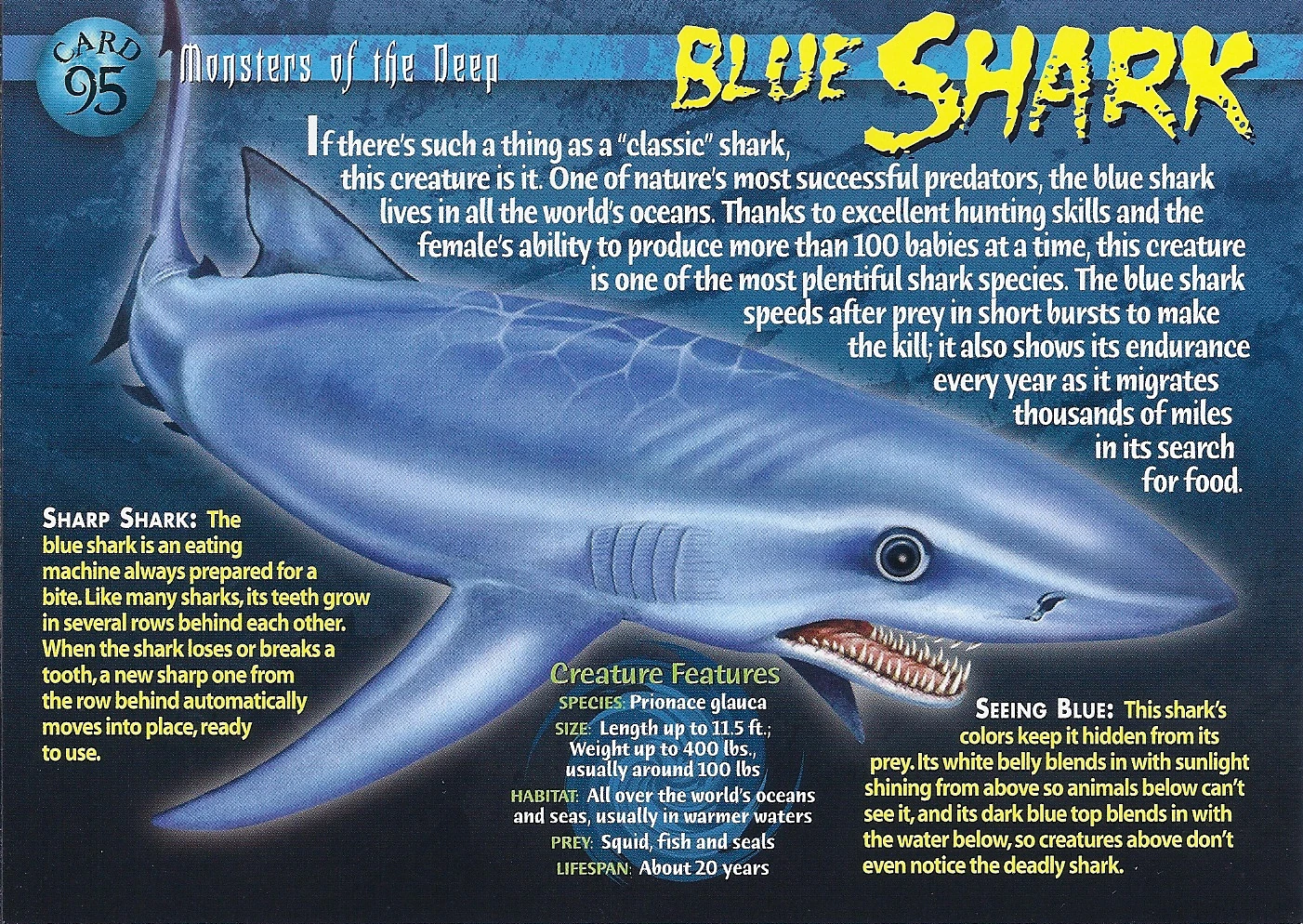 Blue Shark | Weird n' Wild Creatures Wiki | Fandom