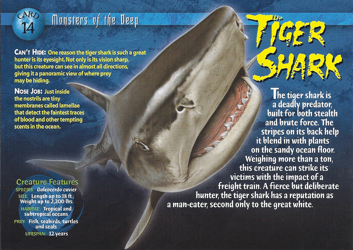 Tiger Shark | Wierd N'wild Creatures Wiki | FANDOM powered by Wikia