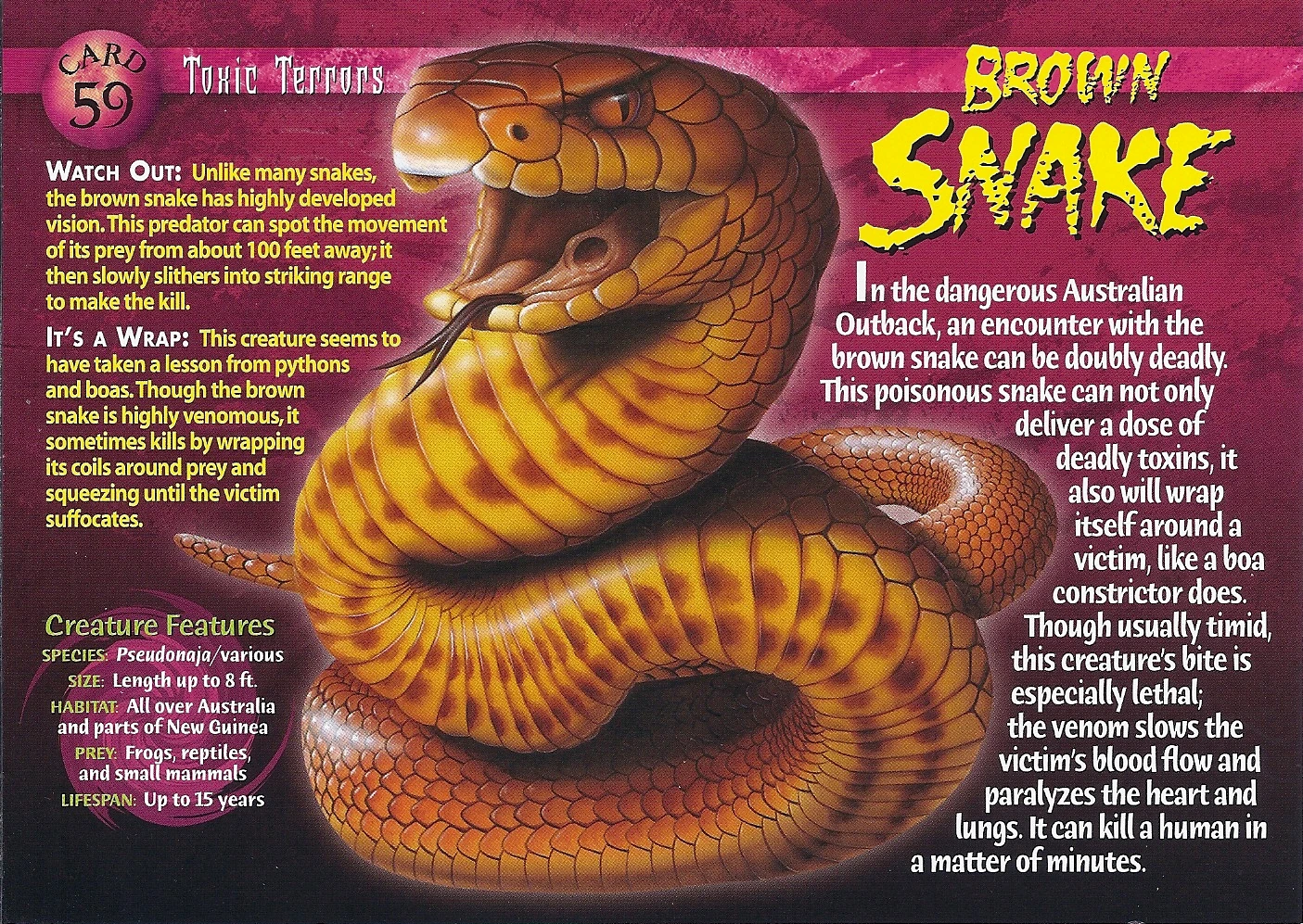 Brown Snake | Weird n' Wild Creatures Wiki | Fandom