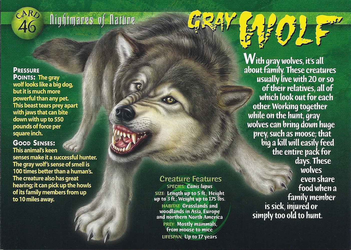 Gray Wolf | Weird n' Wild Creatures Wiki | Fandom