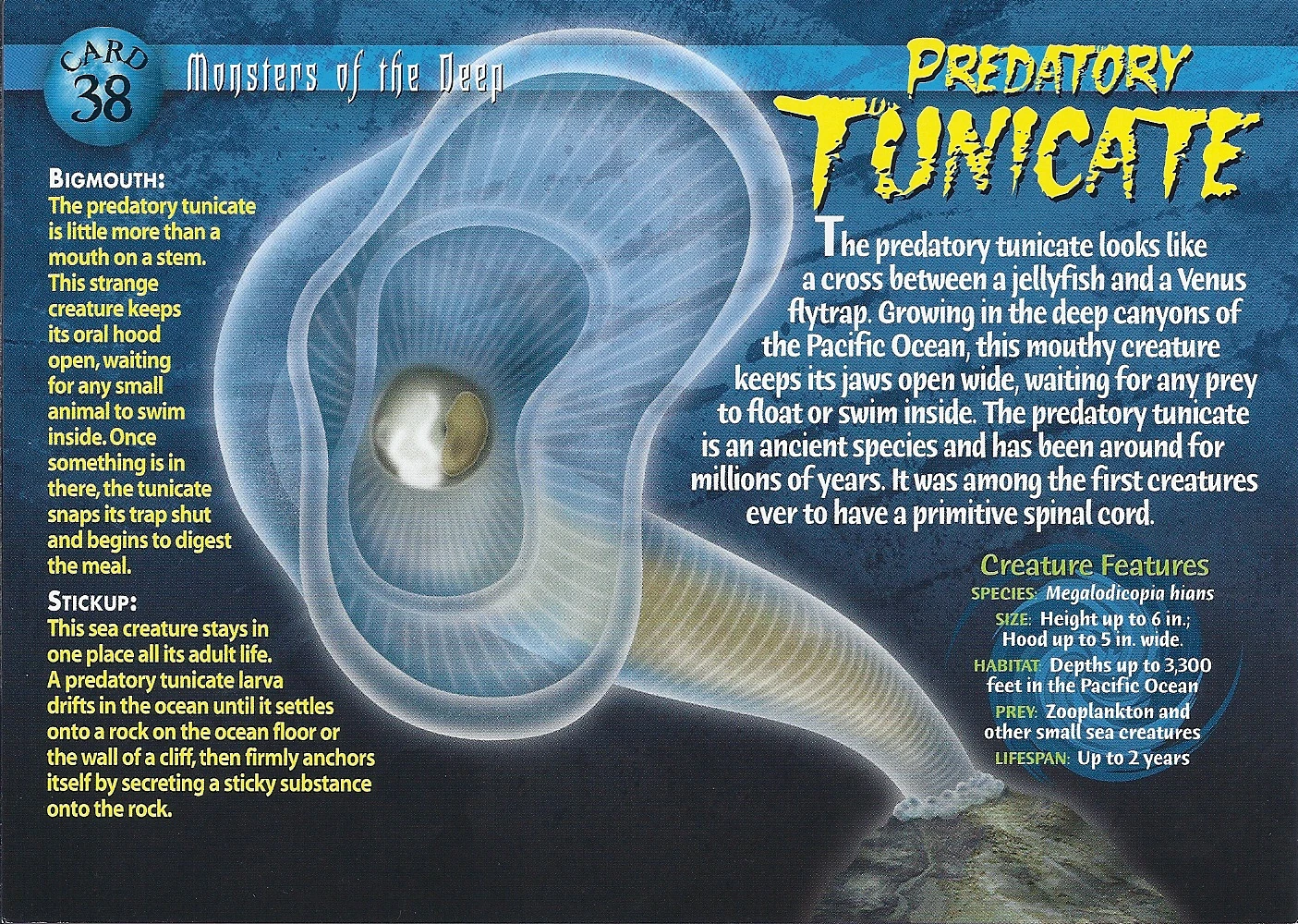 Predatory Tunicate | Weird n' Wild Creatures Wiki | Fandom